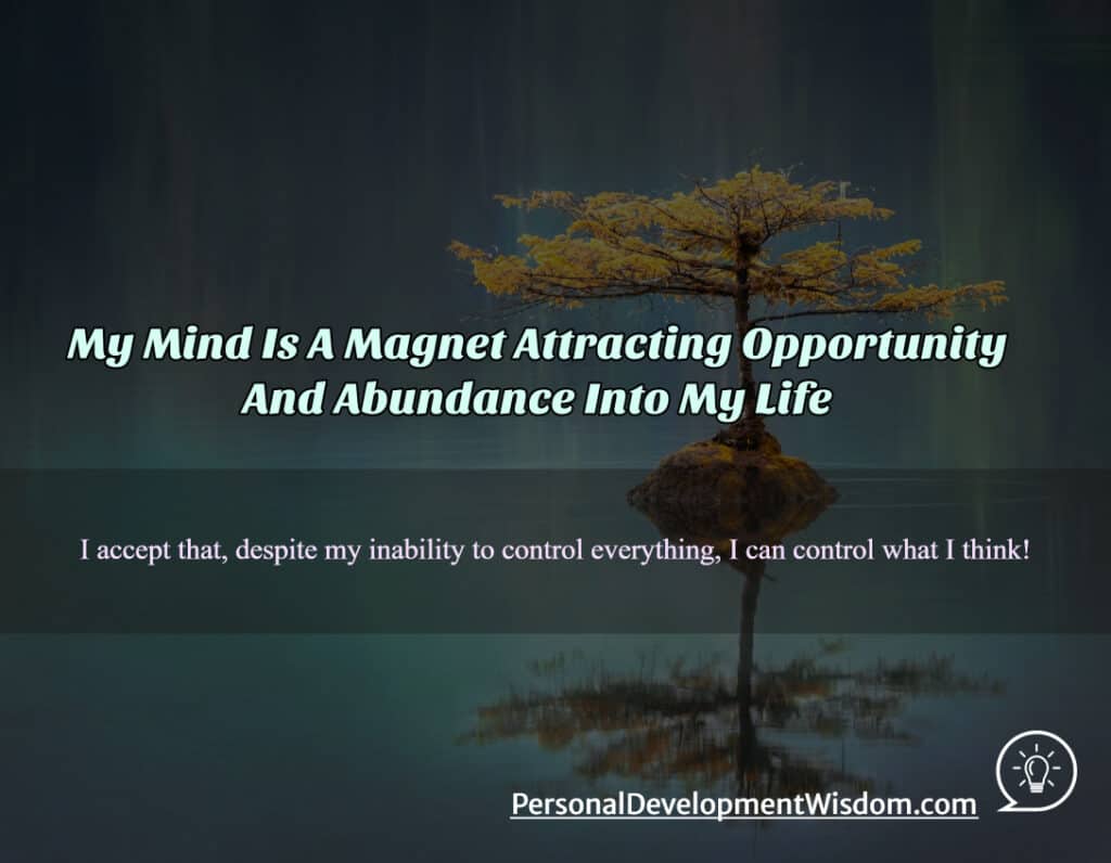 My Mind Is A Magnet Attracting Opportunity And Abundance Into My Life ...